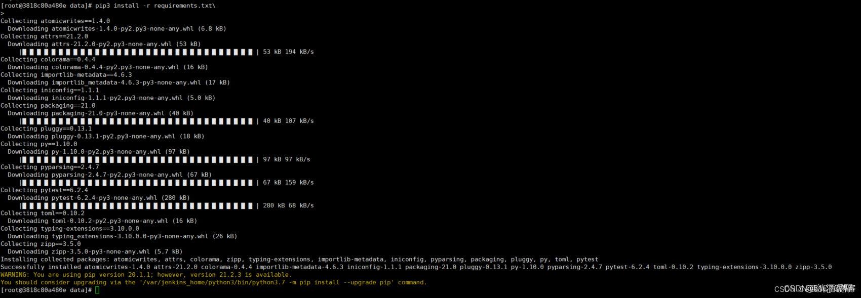 Liunx环境搭建--Docker环境搭建 Jenkins+ Python +Allure 测试环境_docker安装jenkins和python-CSDN博客