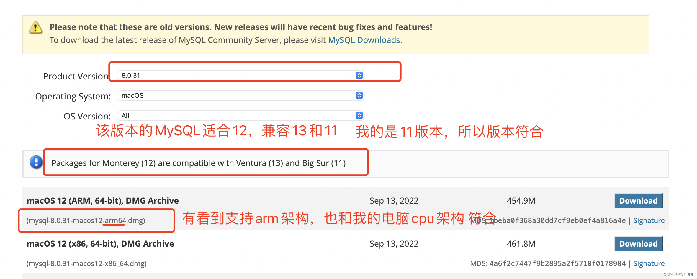 Mac M1安装MySQL-CSDN博客