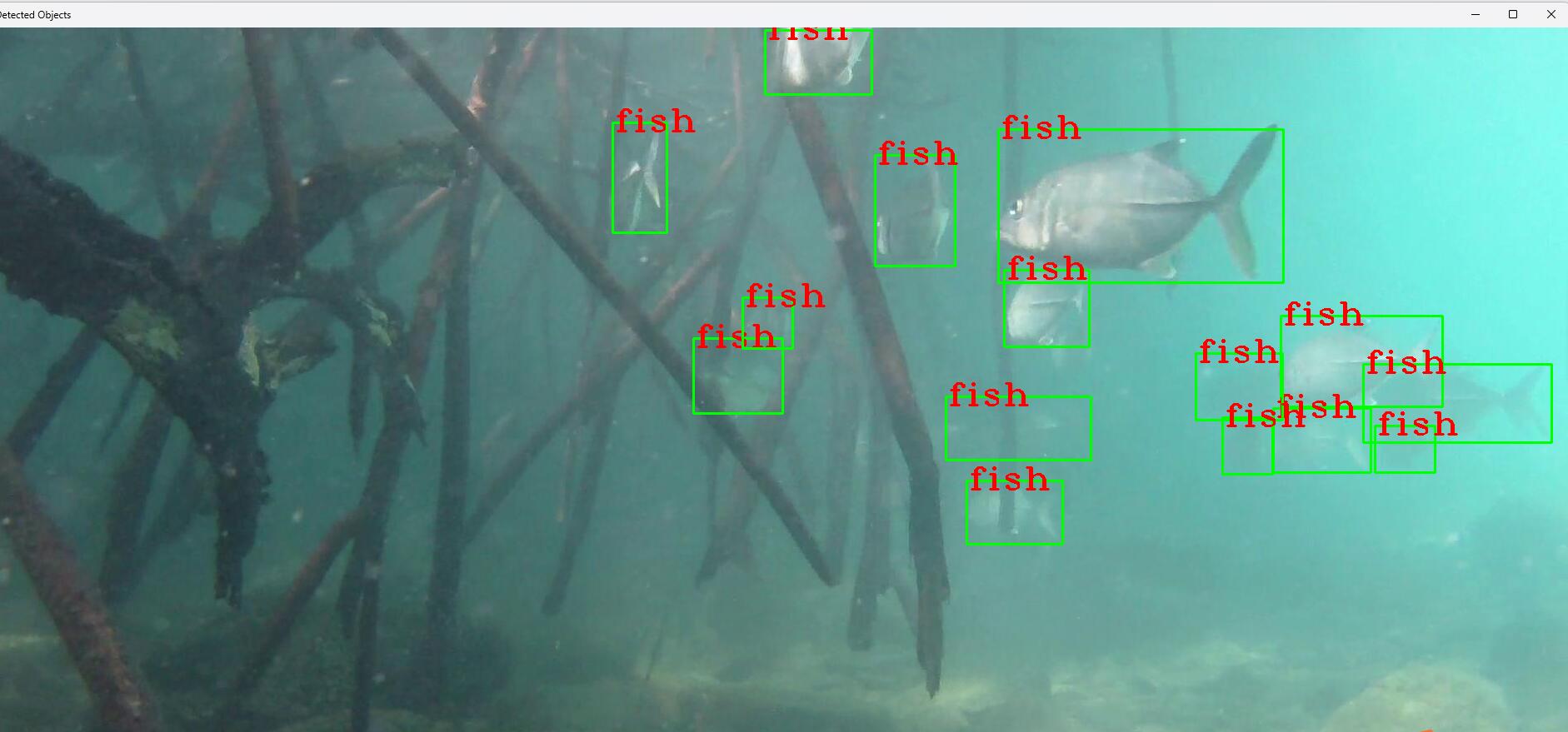 151基于python目标检测的深海鱼fish检测-CSDN博客