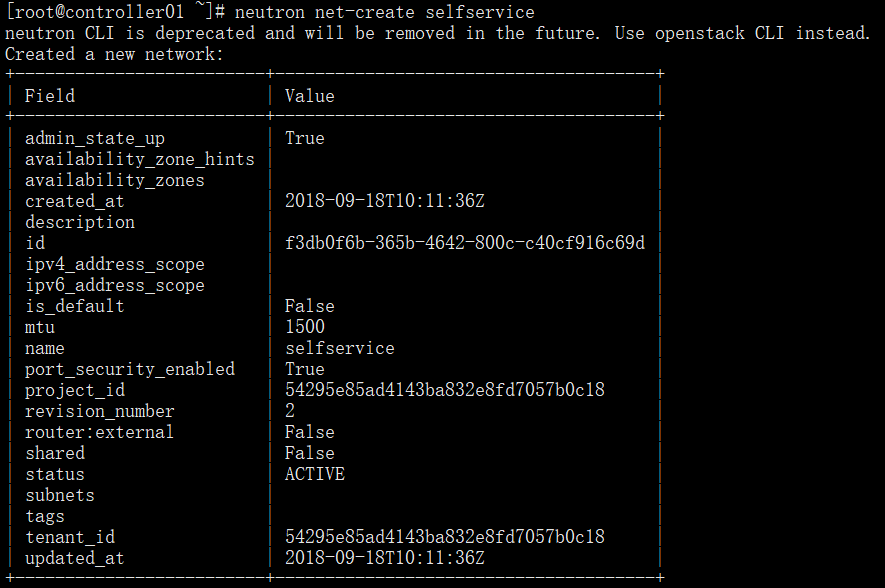 搭建高可用OpenStack（Queen版）集群（十二）之启动一个实例_openstack高可用集群-CSDN博客