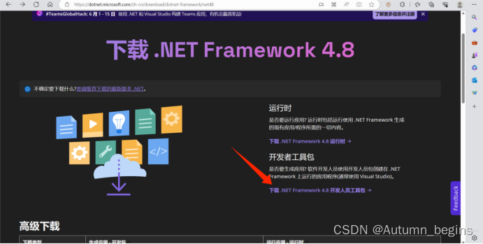 找不到.netframework,version=V4.8的引用程序集_找不到引用程序集-CSDN博客