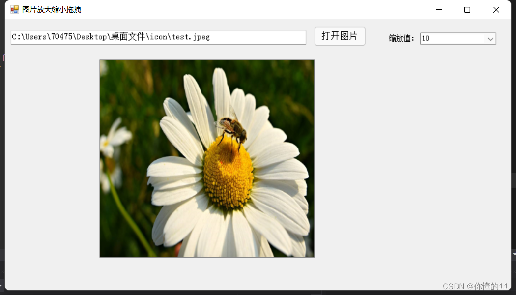 C#利用反射实现winform中图片-移动和缩放的功能_c#鼠标滚轮缩放图片代码-CSDN博客