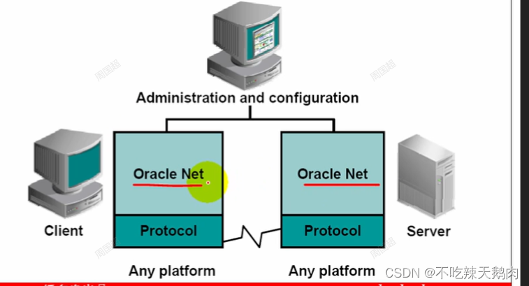 oracle学习笔记二 1-3_oracle sdp-CSDN博客