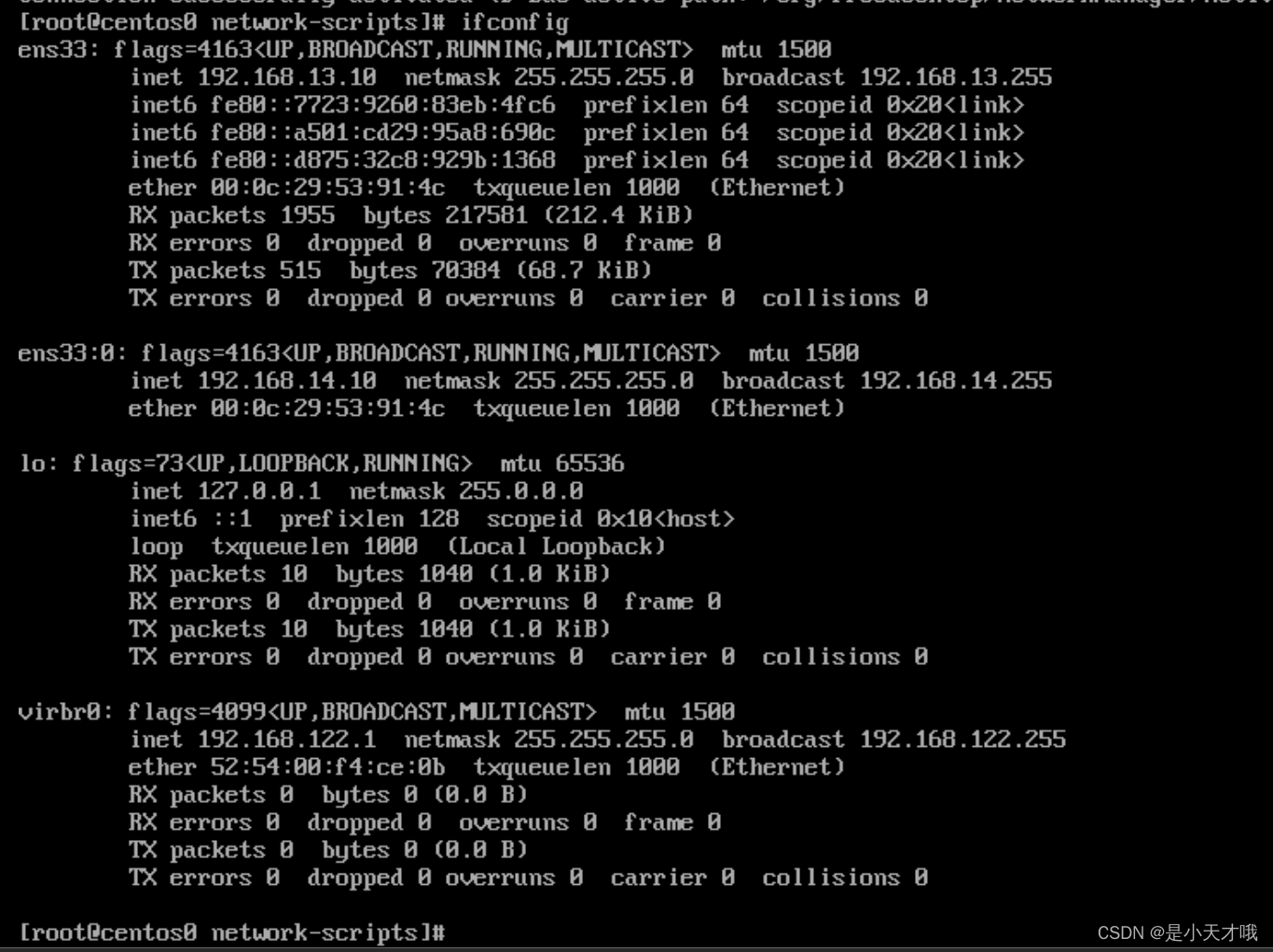 linux服务-dhcp超级作用域_linuxdhcp超级作用域-CSDN博客
