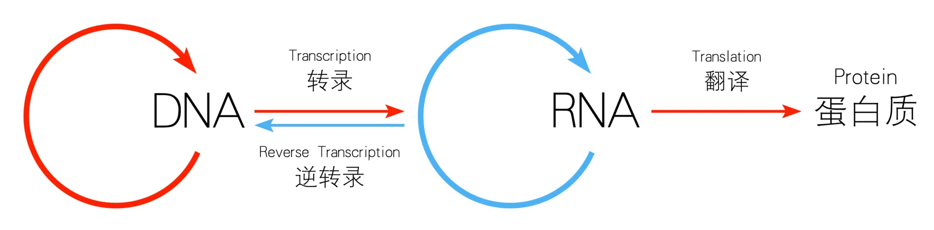 一文梳理常见的测序技术(部分结合GEO数据库)_expression profiling by high throughput sequencing-CSDN博客