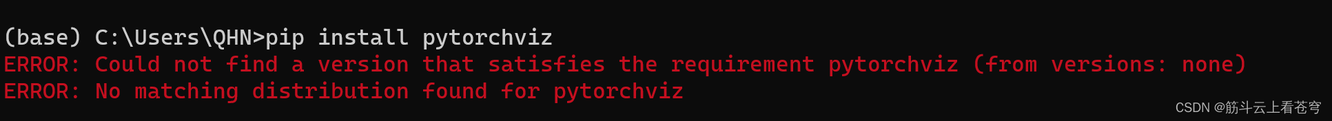 安装PyTorchviz可视化网络_torchviz无法安装-CSDN博客