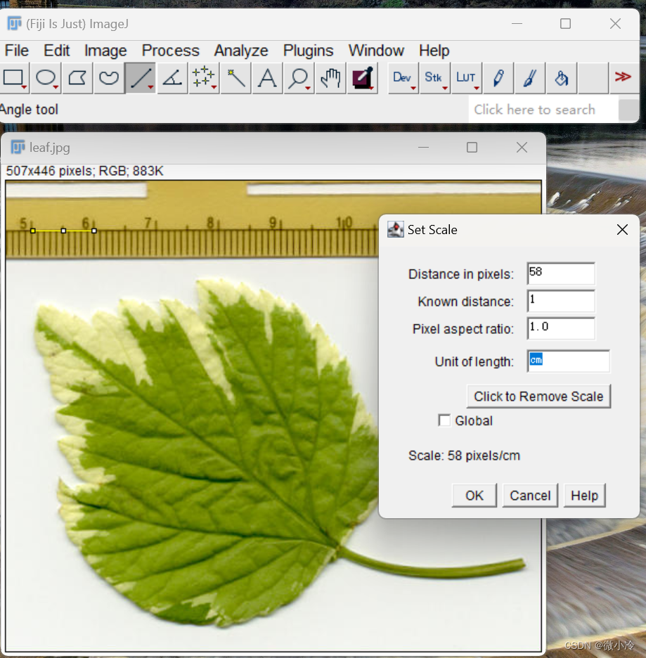 ImageJ中的距离测量与批量斑点分析-CSDN博客