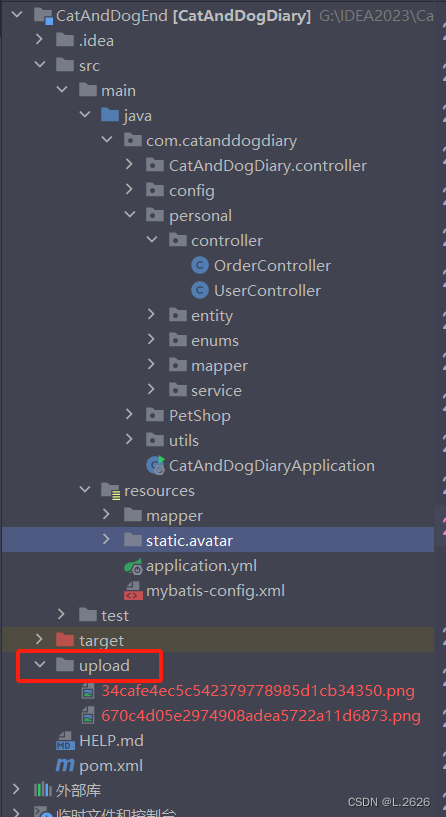 解决SpringBoot图片上传需重启服务器才能显示问题_关于springboot项目图片上传到本地,必须重启之后才能访问的解决方案-CSDN博客