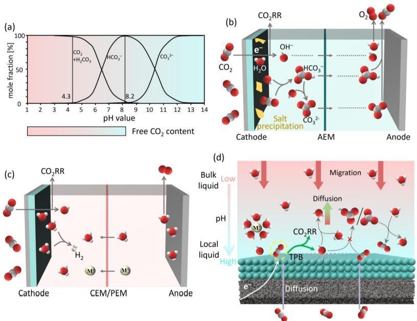 酸性电催化CO2RR，反应环境调控策略-CSDN博客