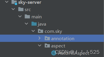 苍穹外卖--公共字段自动填充_com.sky.entity.dish.setupdatetime(java.lang.long)-CSDN博客