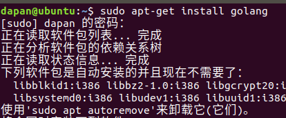 Ubuntu 安装 Golang_ubuntu安装golang-CSDN博客