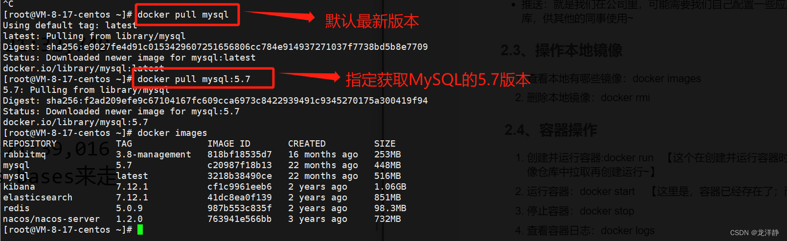 Linux上Docker的安装以及作为非运维人员应当掌握哪些Docker命令_docker bclinux基础镜像安装常用ping telnet等命令-CSDN博客