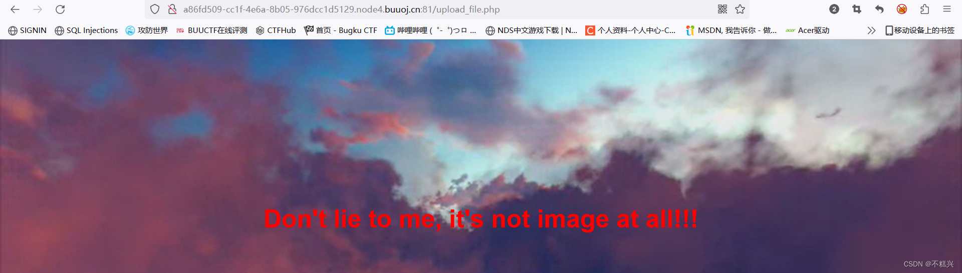 Buuctf-[极客大挑战 2019]Upload-CSDN博客