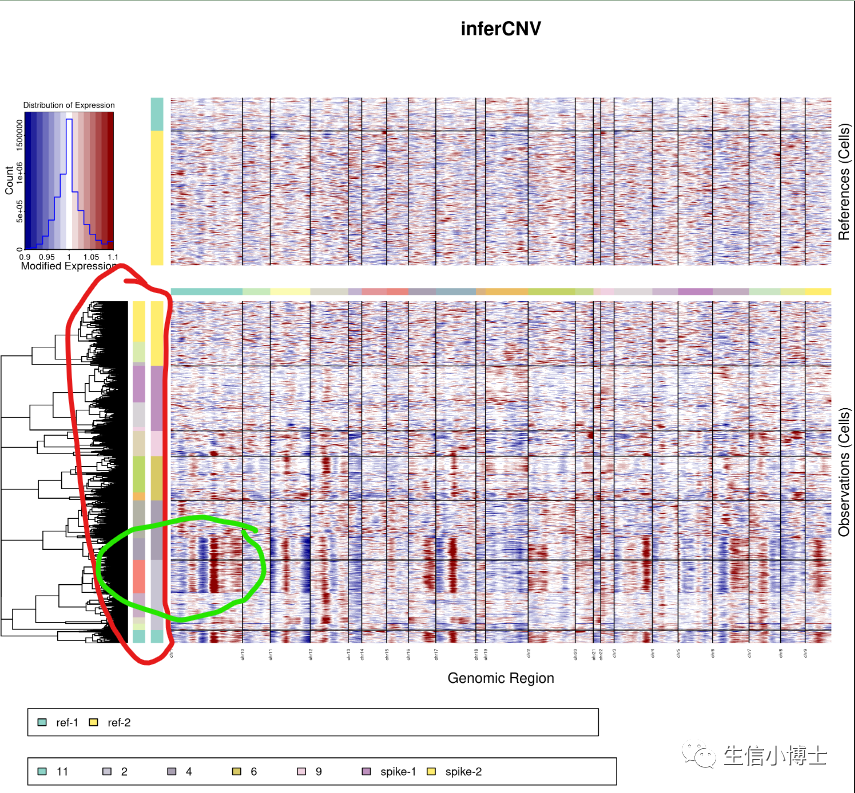 infercnv 三回首：深入理解infercnv为何能发nature-CSDN博客