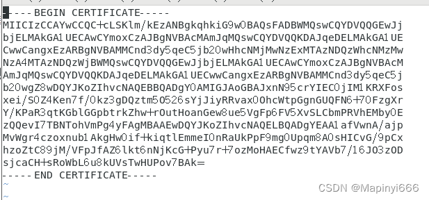 Nginx中的SSL加密配置与证书生成_nginx ssl证书生成-CSDN博客