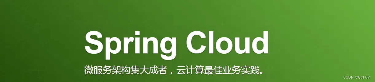 SpringCloud Alibaba(保姆级入门及操作)_spring cloud alibaba-CSDN博客