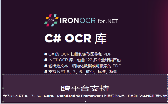 IronOcr 2024.3.1 For .NET Patch-CSDN博客