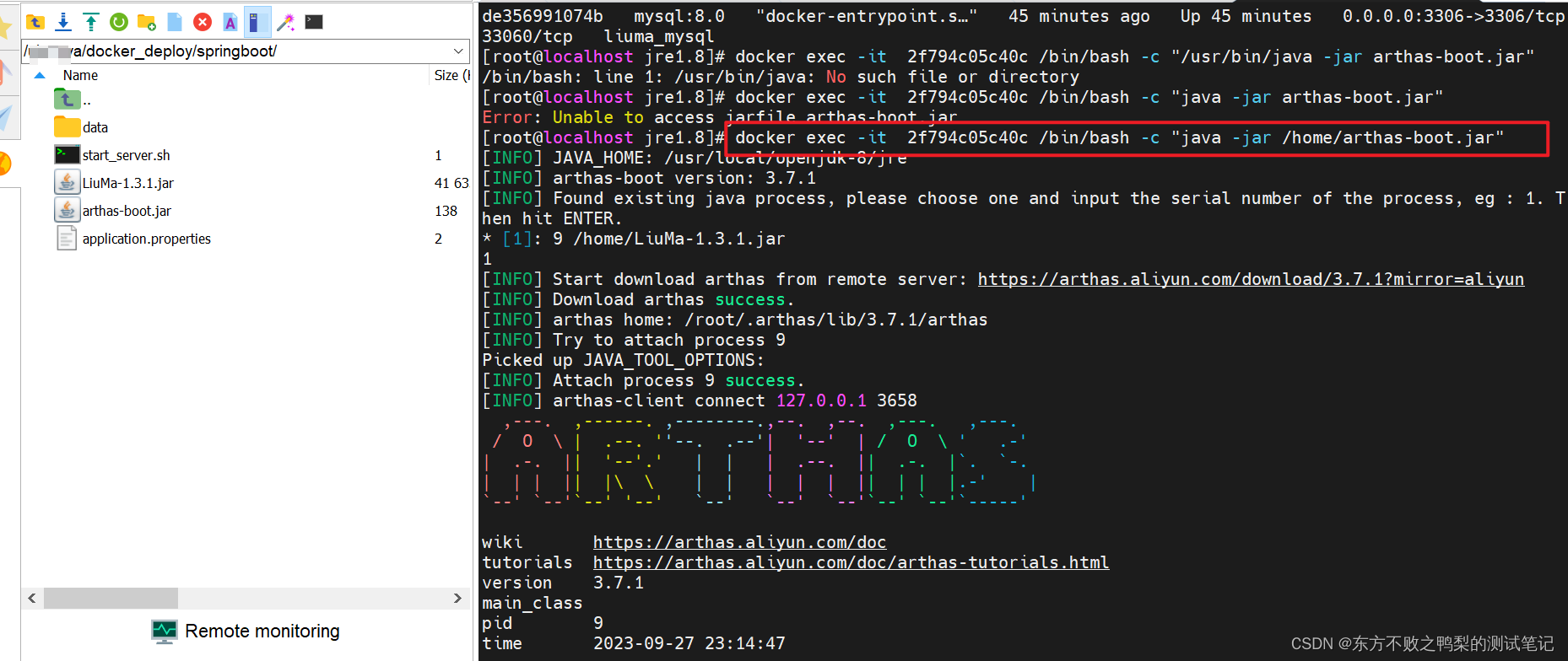 性能测试监控-java分析工具Arthas_arthas查看gc次数-CSDN博客