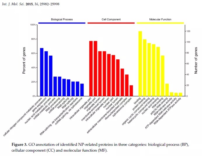 Gene Ontology(GO)简介与使用介绍_geneontology怎么用-CSDN博客