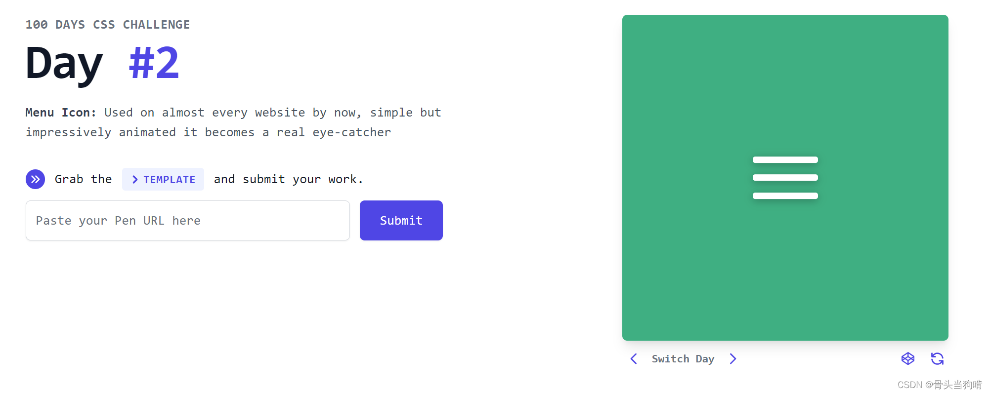 100DaysCss第二天教程-CSDN博客