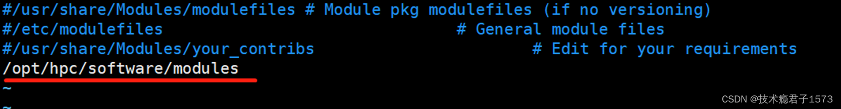 Linux基础 Module命令使用（理论实战）linux Module Csdn博客