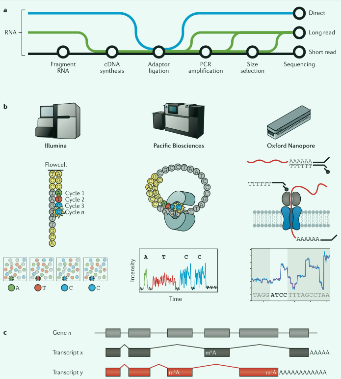 转录组RNA-seq分析前沿进展综述_dge数据-CSDN博客