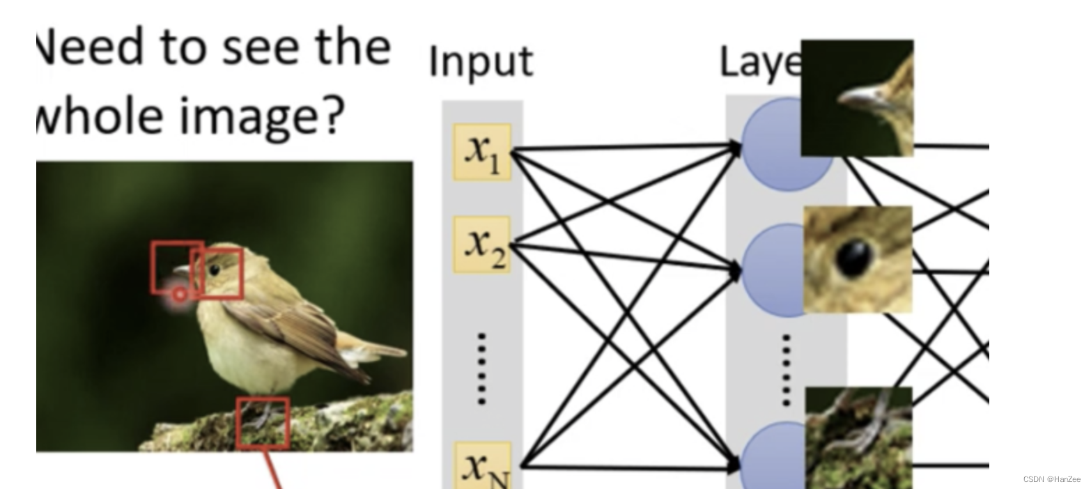 深度学习：alexnet实现服装分类（pytorch）深度学习卷积神经网络alexnet开发服装数据集 Csdn博客