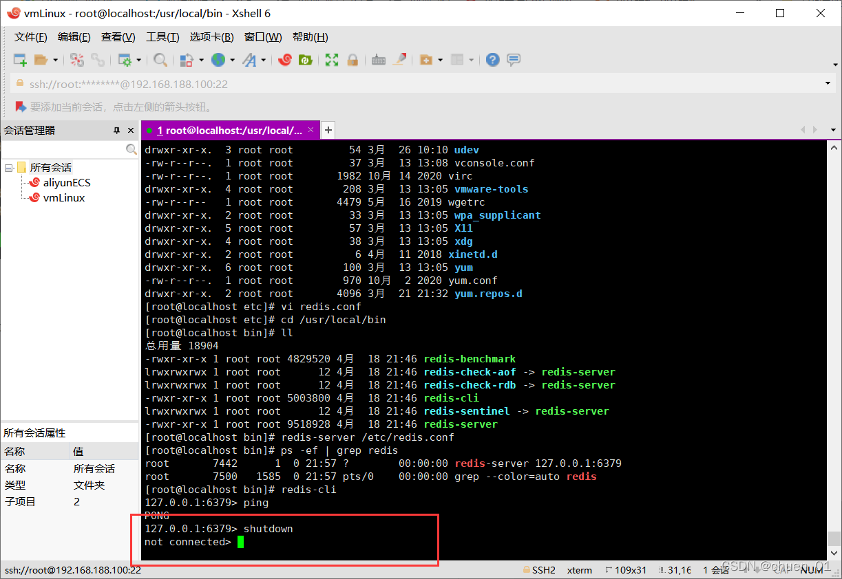 Redis 安装在Linux CentOS 7_redis 再centos7的默认安装路径-CSDN博客
