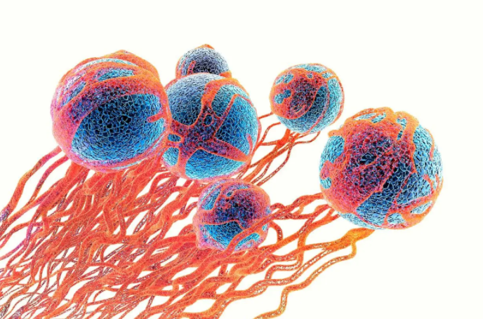 揭秘DSPE-PEG-Biotin 385437-57-0在分子影像中的惊人应用效果-CSDN博客