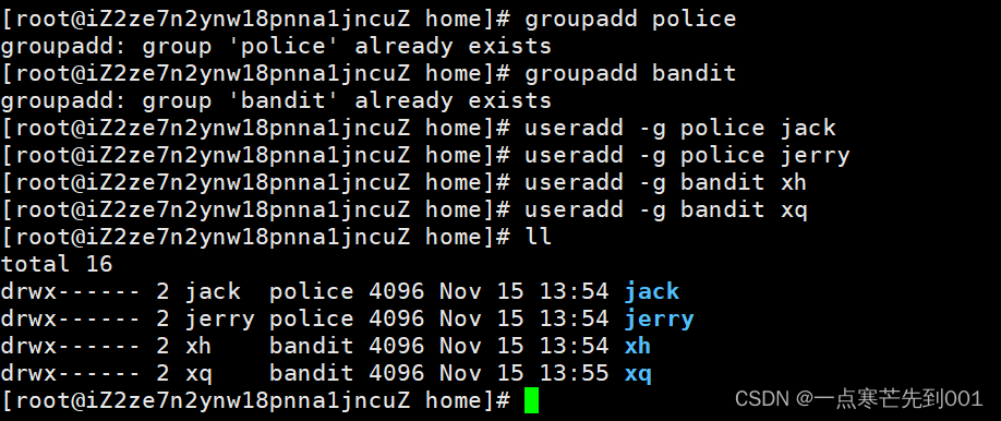 Linux 文件权限与用户管理：chmod、chown 和 chgrp 操作详解-CSDN博客