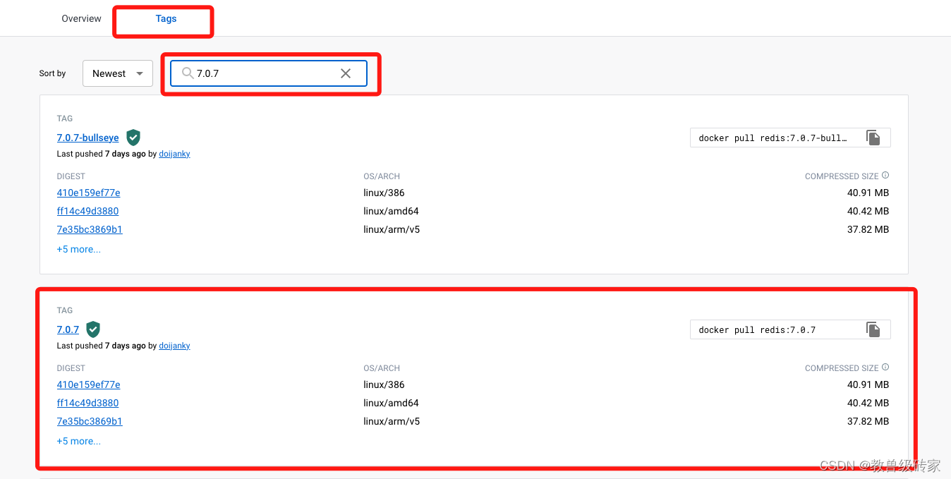 Redis 7.0.7 - Redis Cluster (Docker)安装教程_docker 部署 redis 7-CSDN博客