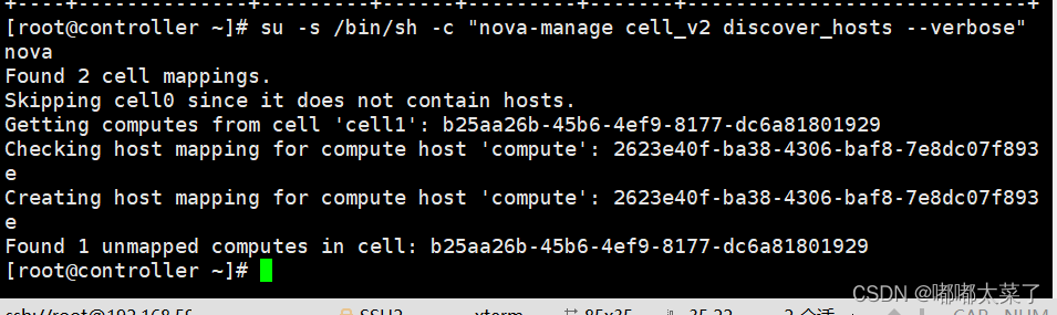 【Openstack Train安装】九、Nova安装-CSDN博客