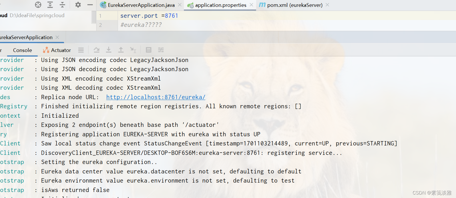 关于启动Eureka报错For input string: “8761 “的问题_factory method 'eurekainstanceconfigbean' threw ex-CSDN博客