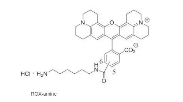 氨基ROX ，Rhodamine X氨基，可和羧酸等官能团反应-CSDN博客