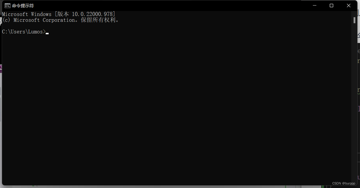 burppp的C日志2-CSDN博客
