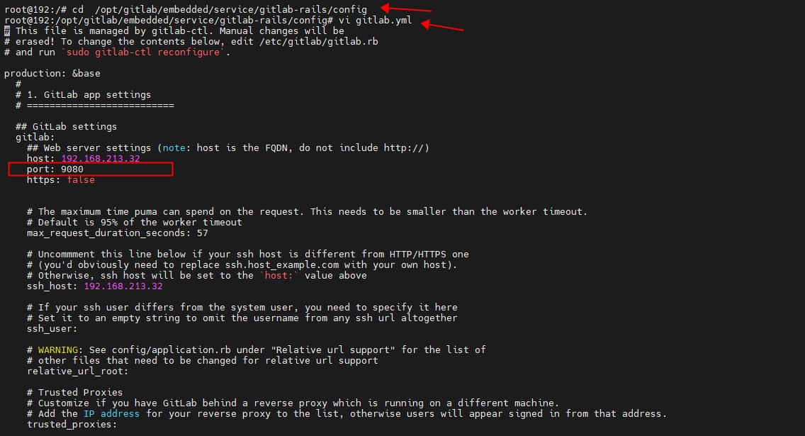 docker部署gitlab后，将http,ssh克隆端口改成对应服务的端口号_gitlab修改ssh端口-CSDN博客