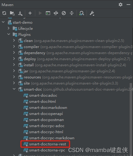 smart-doc使用说明_smartdoc-CSDN博客