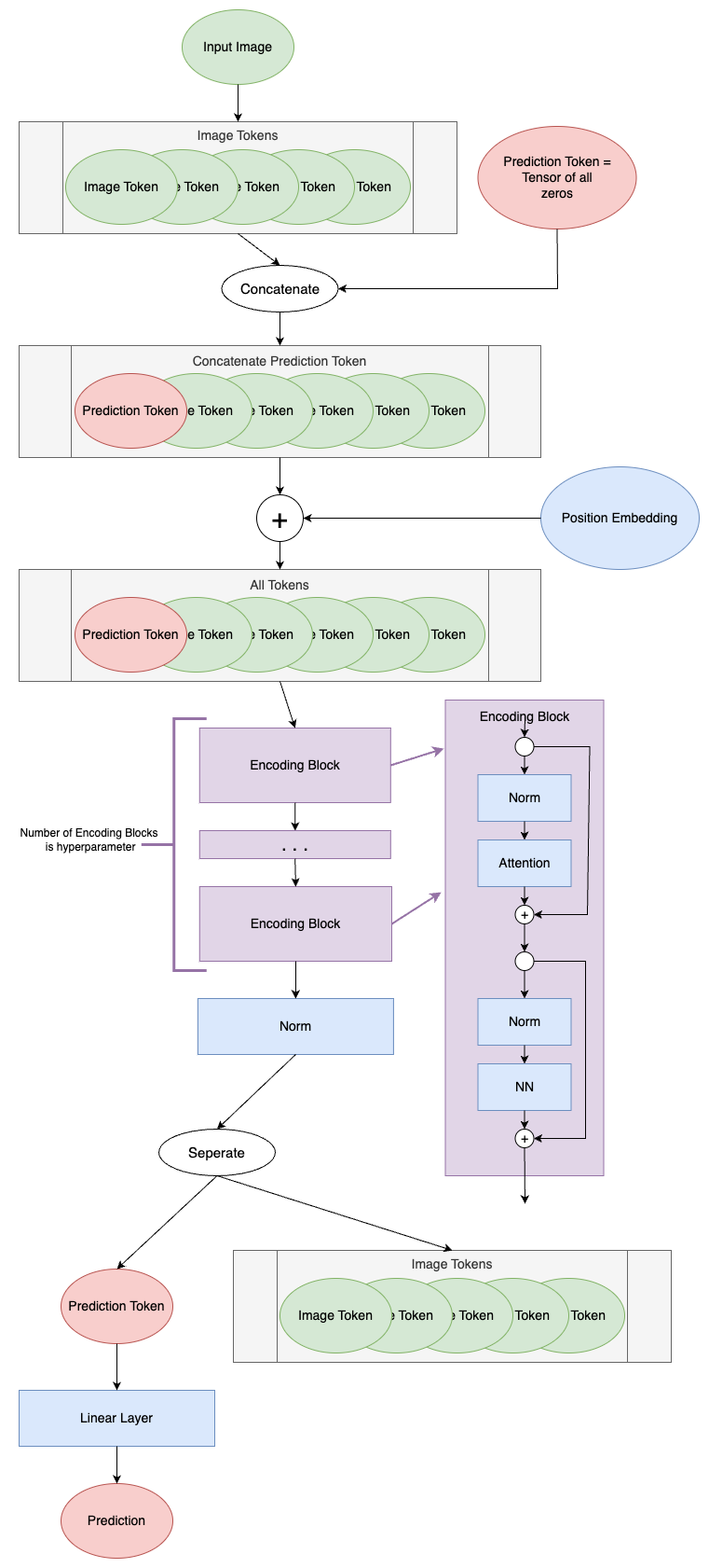 Vision Transformers, Explained_explainability for vision transformers-CSDN博客