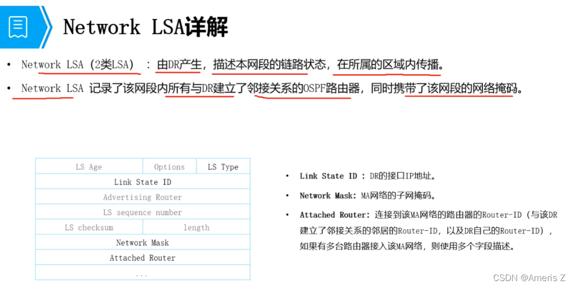【ospf路由计算（一类LSA-router、二类LSA-Network、三类LSA-sum-Net）】-20211228-30-CSDN博客
