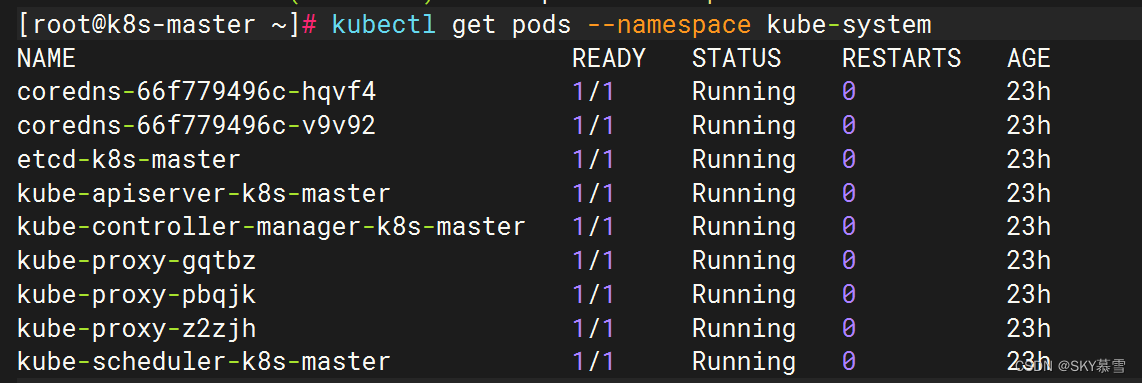 k8s-pod基本管理(namespace,pod增删查)_查看pod命令-CSDN博客