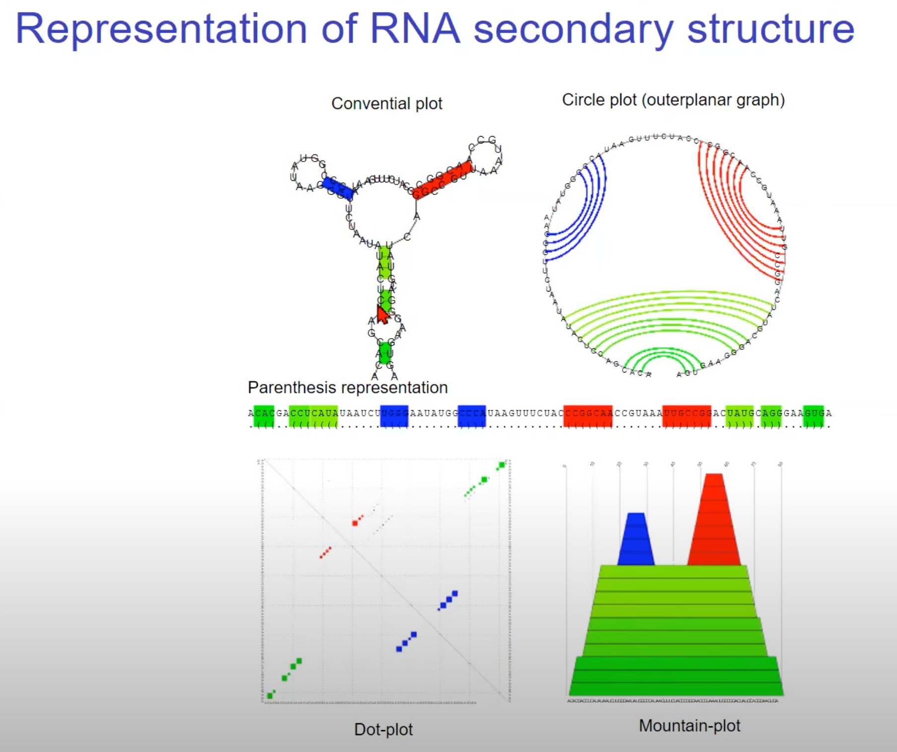 【RNA folding】RNA折叠算法与生物物理约束_rnafold-CSDN博客