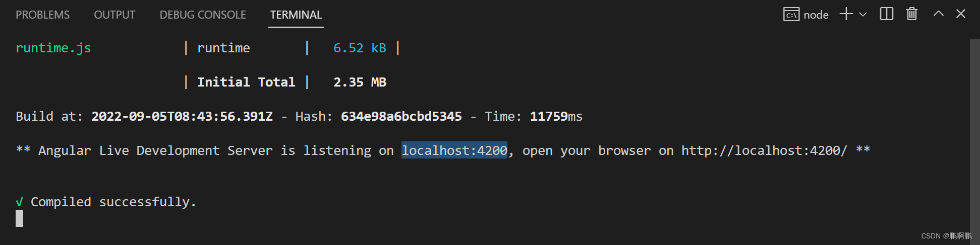 Angular工程的初使用_augular工程-CSDN博客