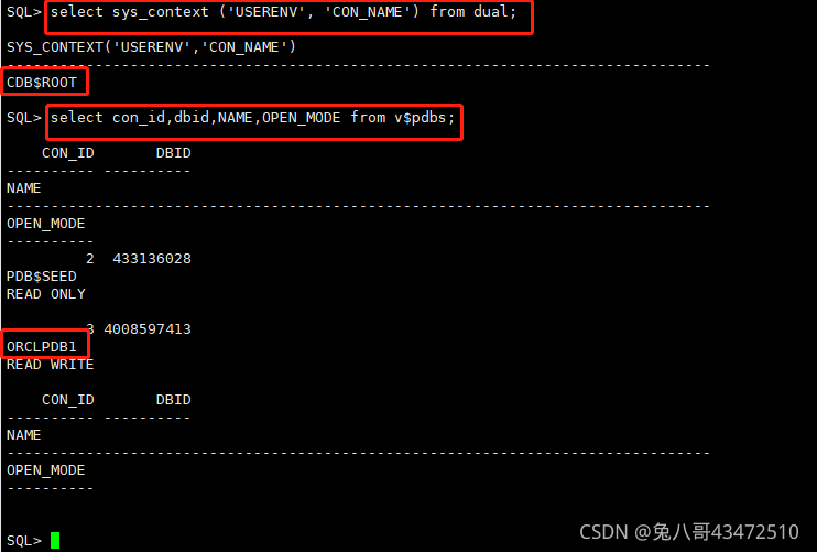 rpm部署oracle19c_rpm 安装oracle sys密码使多少-CSDN博客