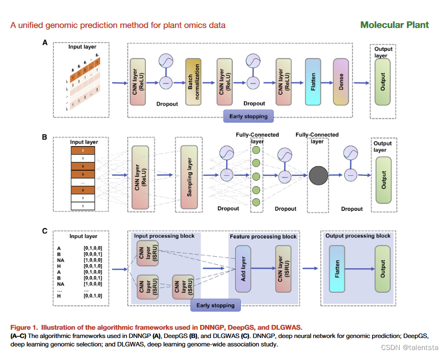 DNNGP模型解读-early stopping 和 batch normalization的使用-CSDN博客