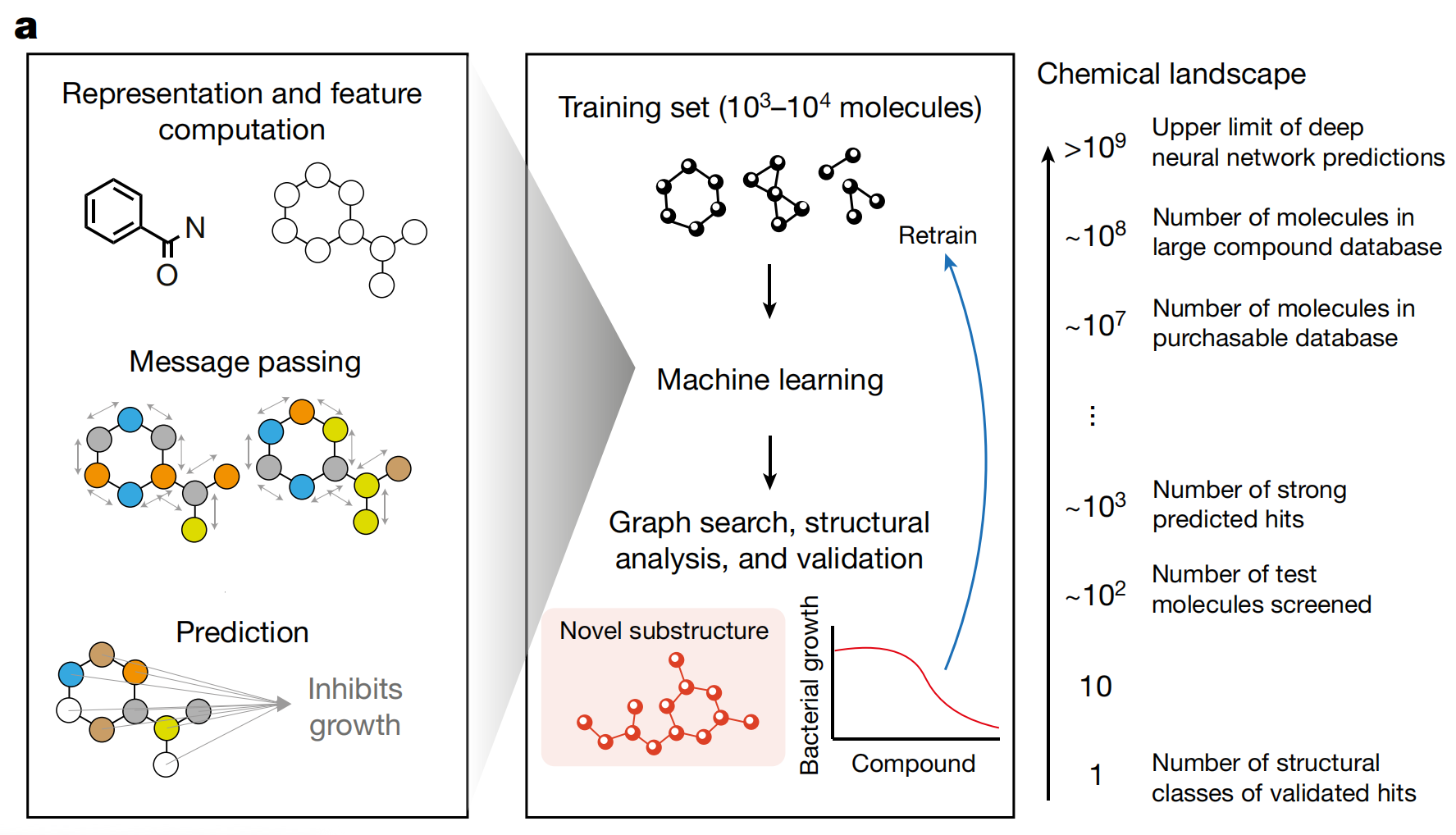 【Nature 2023】Discovery of a structural class of antibiotics with explainable deep learning-CSDN博客
