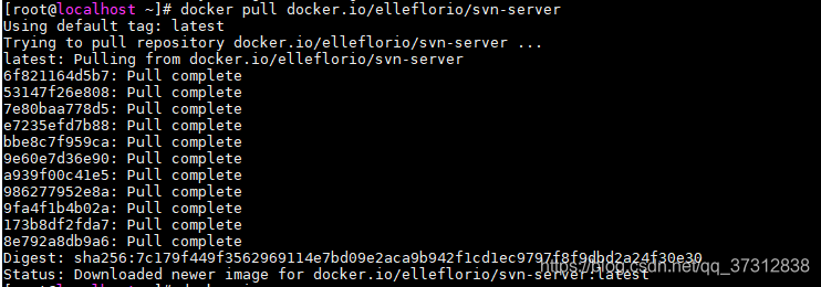 docker 安装svn服务器_elleflorio-CSDN博客