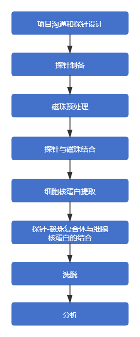筛选鉴定与已经基因启动子相互作用的DNA结合蛋白-DNA Pull Down实验原理，技术流程_dnapulldown探针一般多长-CSDN博客