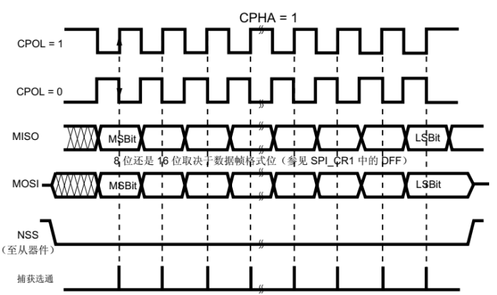 STM32 | SPI+flash闪存（第十一天）W25Q128举例_w25q128电路图-CSDN博客