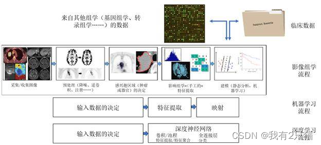 【组学计算 pyradiomics】可算是玩明白了!!!-CSDN博客